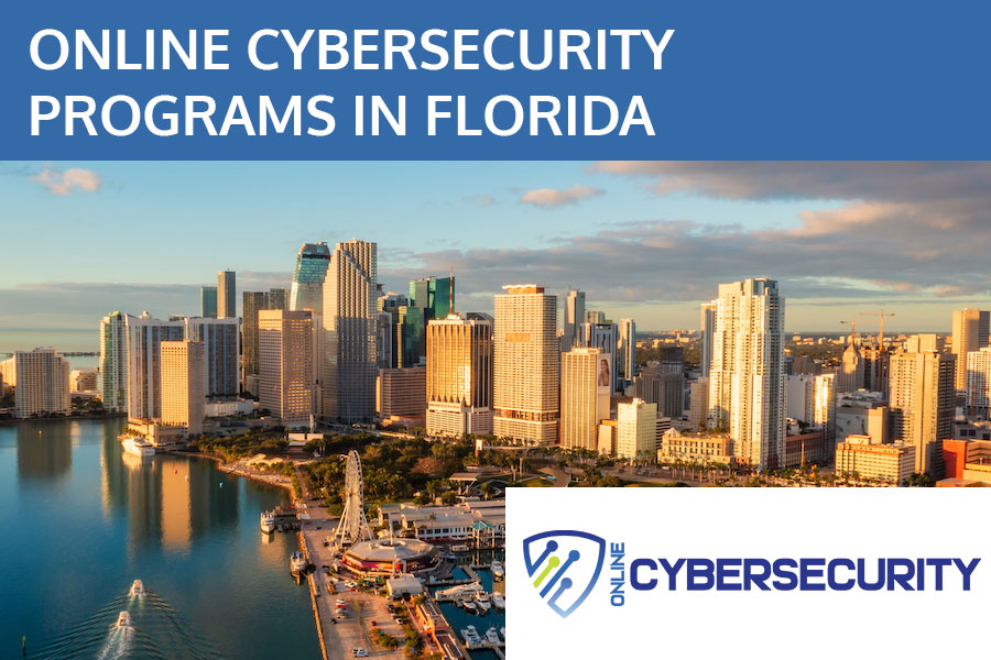 2025 Best Online Cybersecurity Schools in Florida